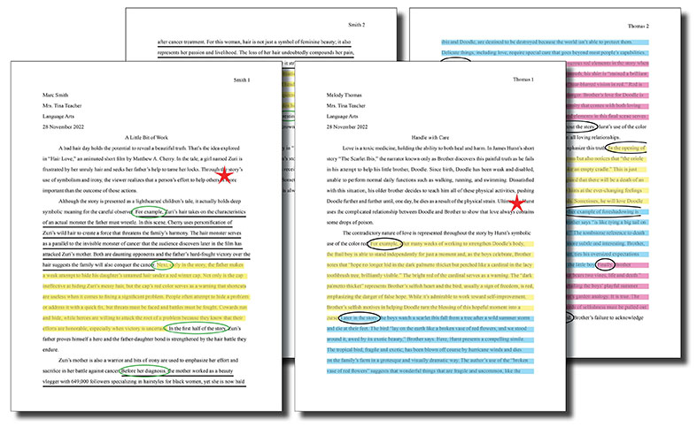 Literary Analysis Essay Writing – Laura Randazzo – Solutions for the ...