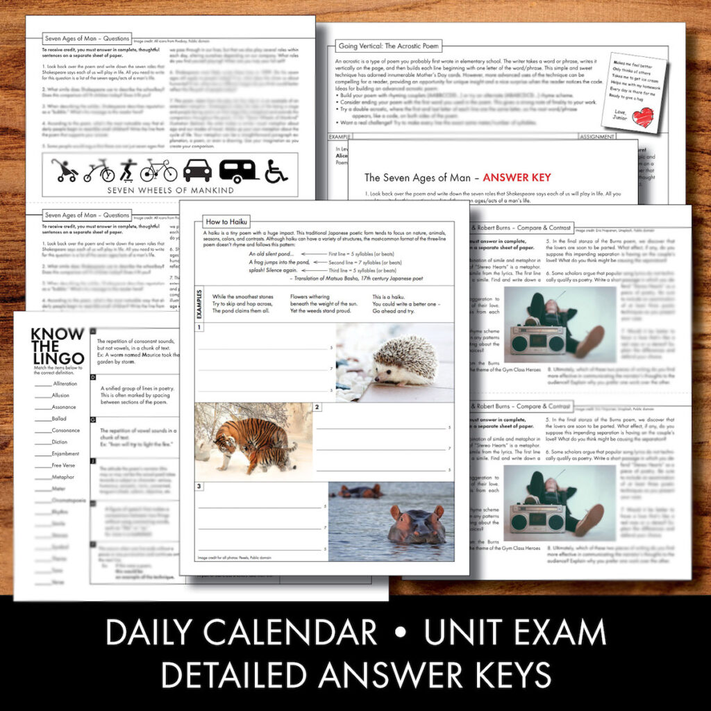 High School Poetry Unit, 4 Weeks, Analysis + Fun Supplements, PDF ...